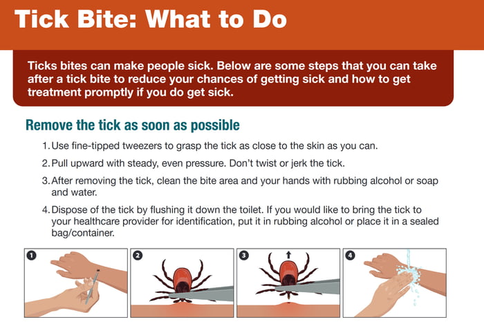 Tick Bite What to Do (by CDC) - 9GAG