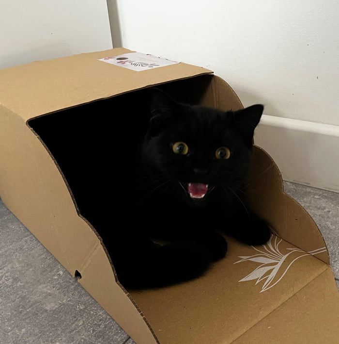 The void has eyes! - 9GAG