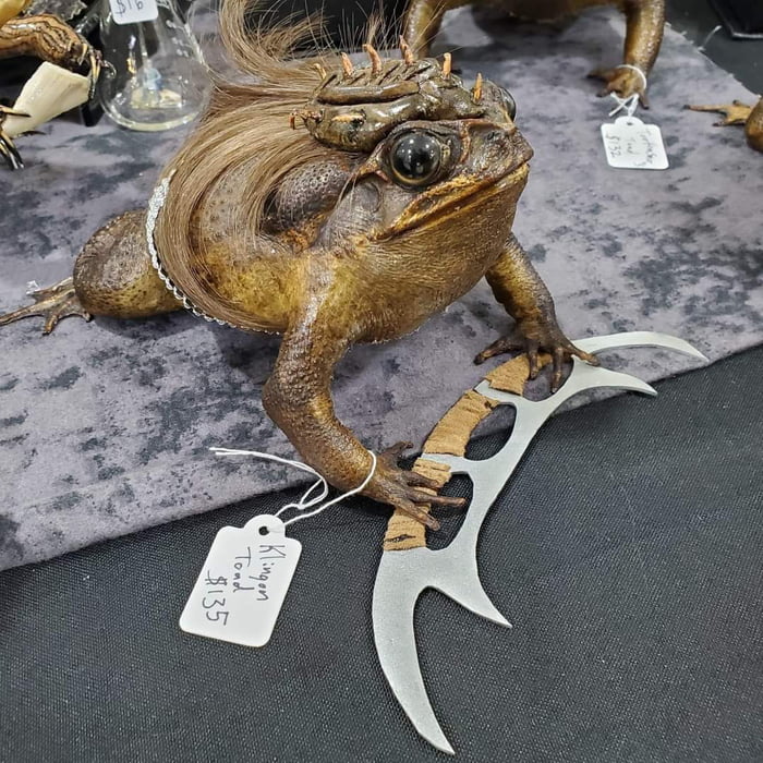 Klingon Toad! - 9GAG