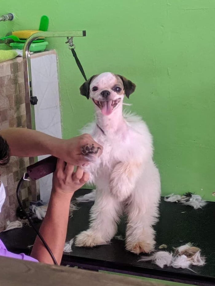 Work in progress - 9GAG