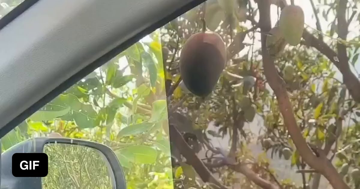 It ain’t much, but it’s honest work - 9GAG