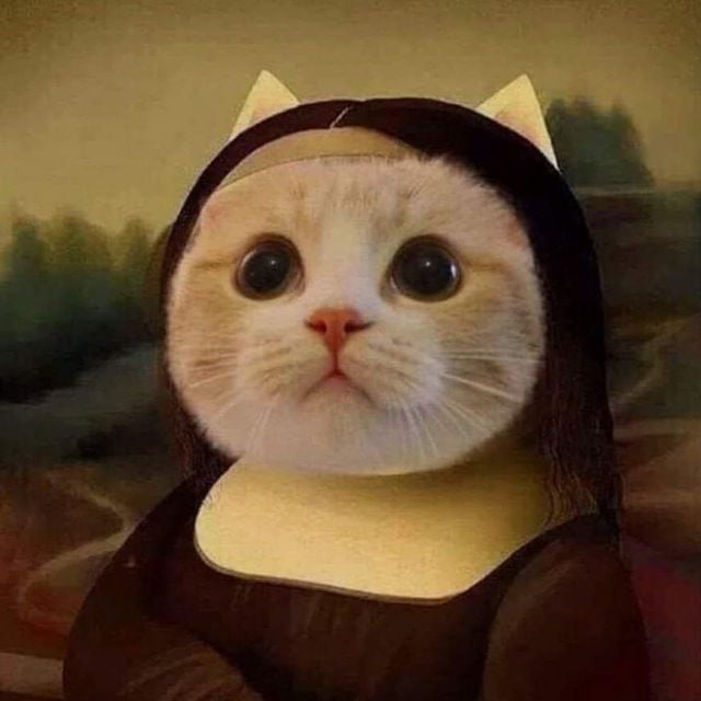 Catlisa🤣 - 9GAG