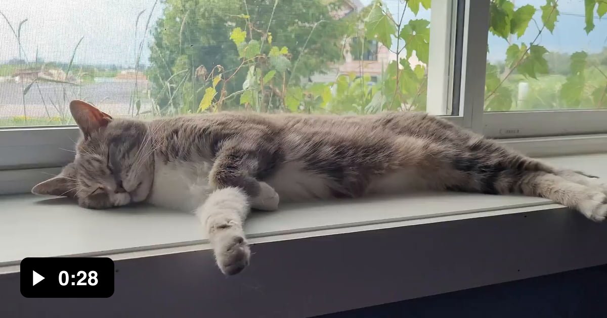 Baby Captain is the best sleeper - 9GAG