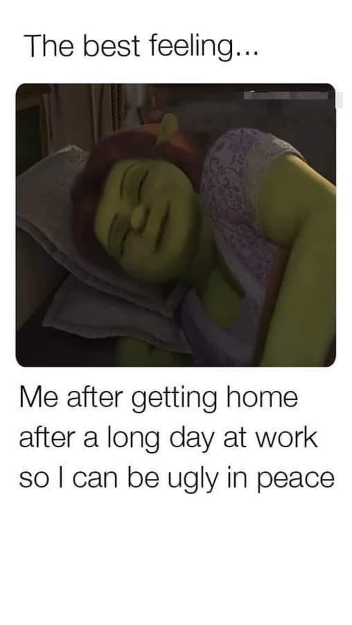 Shrek Fiona Memes Has Shrek Had A Face Lift? Trailer For New Film