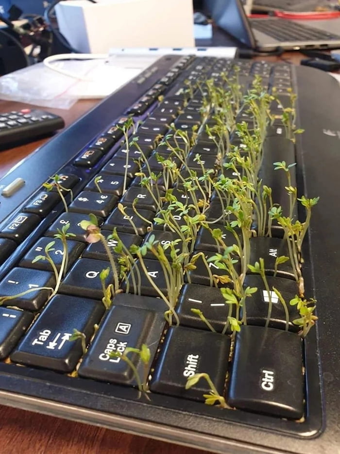 "My keyboards not that bad" the keyboard.. - 9GAG