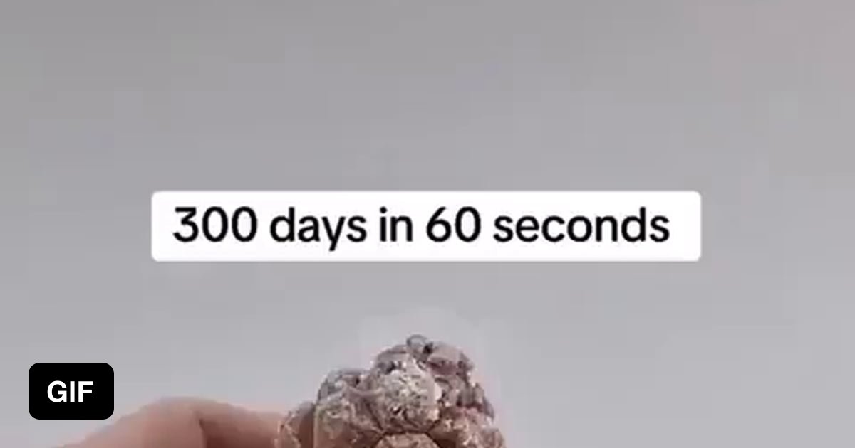 From a seed to a pine tree - 9GAG