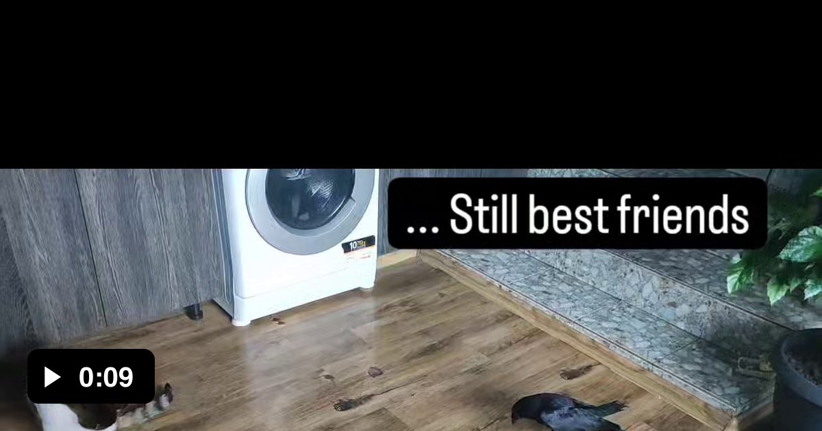 Ohh no....but still best friends - 9GAG