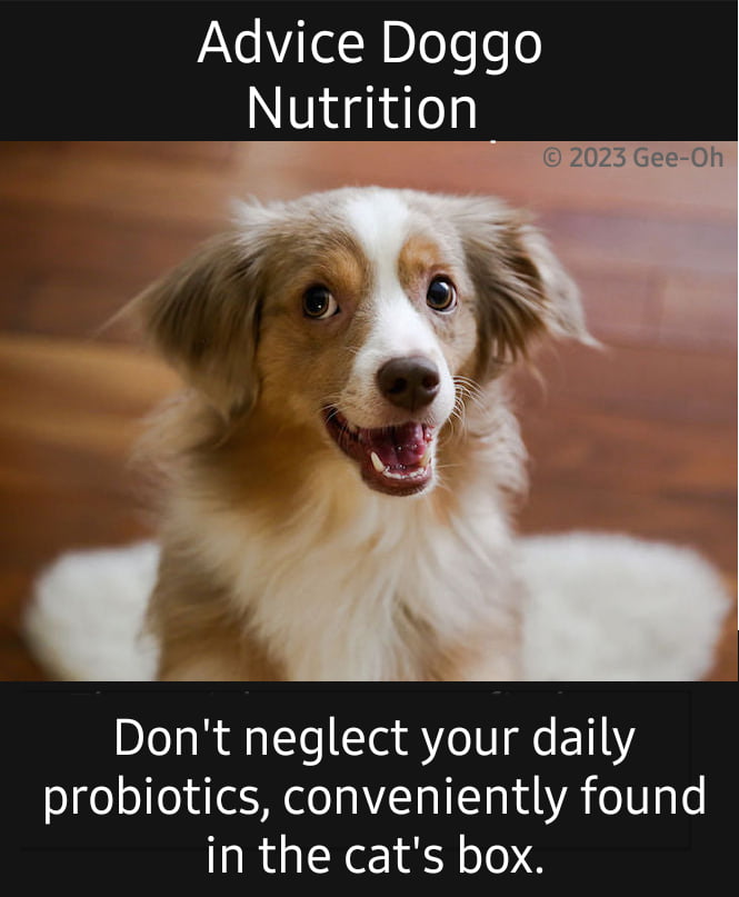 A healthy body. - 9GAG