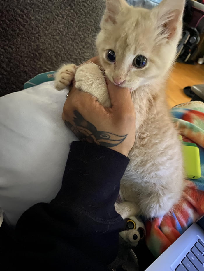 ‘Cuse me mam just gonna have a bite - 9GAG