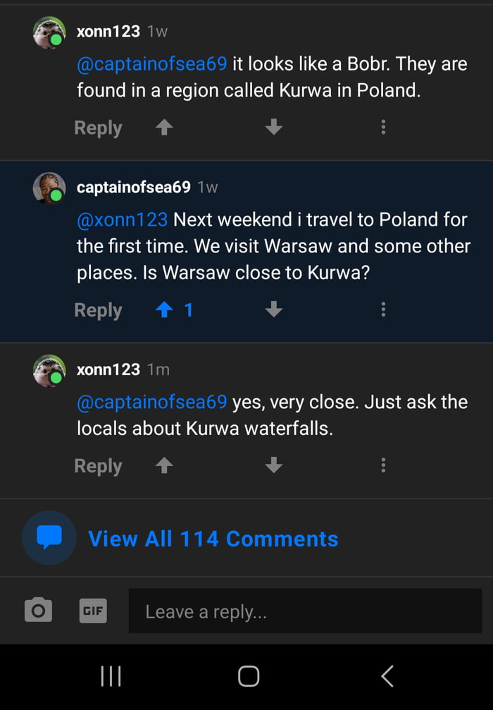 Where do you find a Bobr in Poland ? - 9GAG