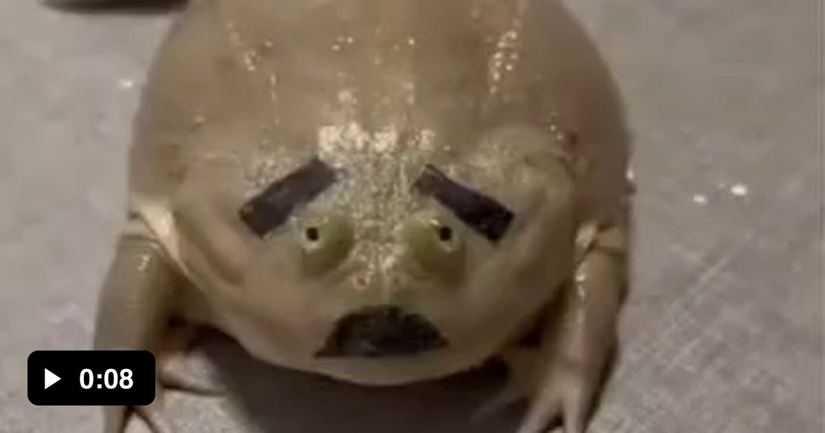 Frog with eyebrows and moustache - 9GAG