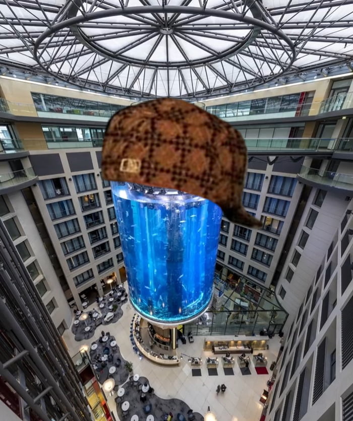 Scumbag AquaDom hotel aquarium in Berlin explodes, leaves 1.500 fish ...