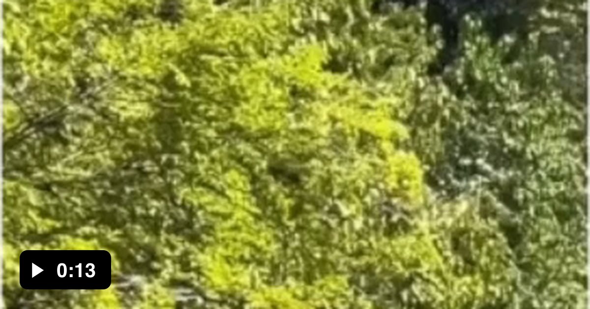 Thats a Real Men - 9GAG