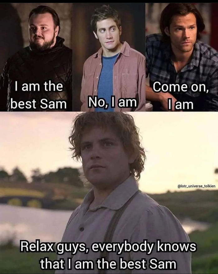 No better Sam than Sam Wise - 9GAG