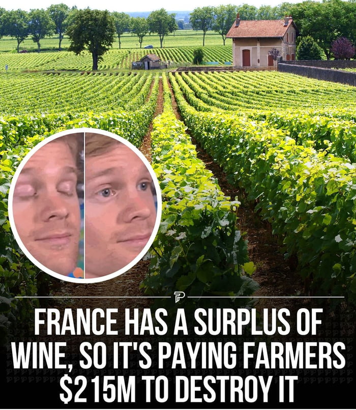 Excess wine... Destroy it - 9GAG