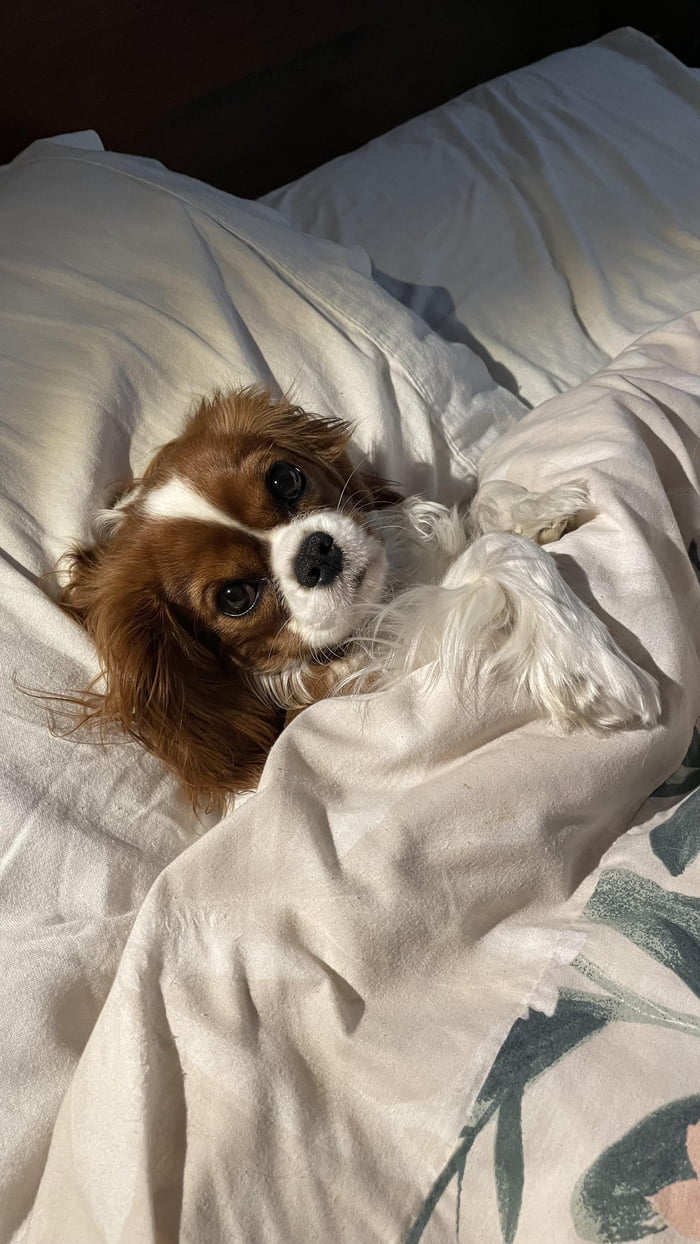 Ready for her bed time story! - 9GAG