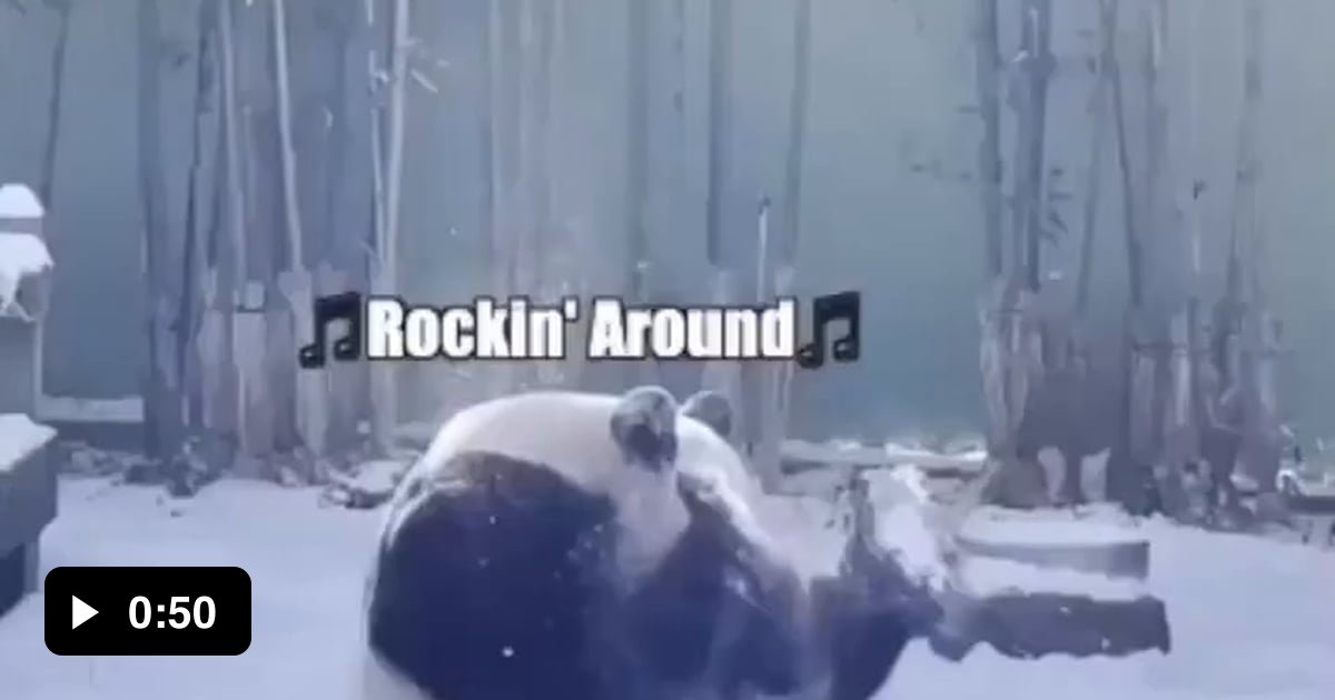 Panda man acorn - 9GAG