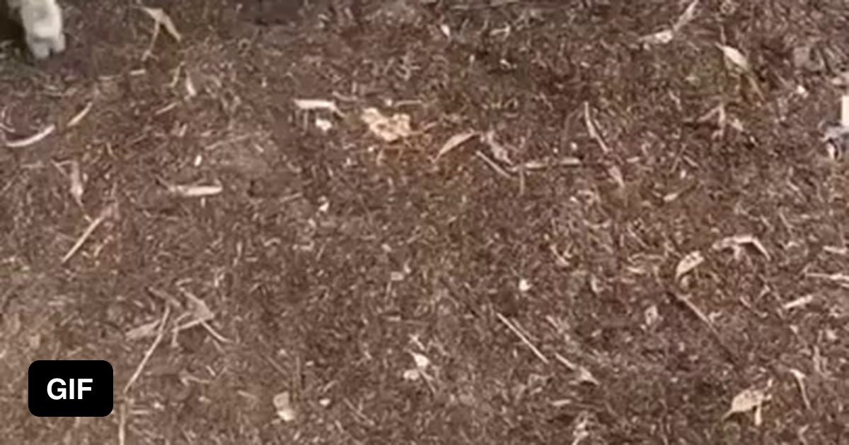 When you send a senior to debug queues.. - 9GAG