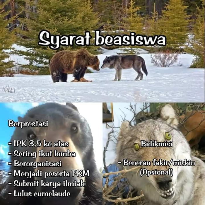 Buat beli iphon - 9GAG