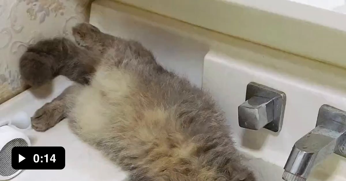 Happy relax day my Lord - 9GAG