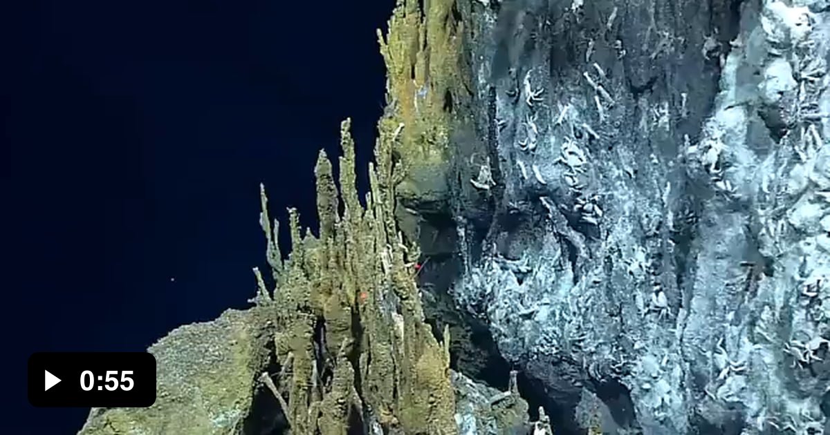 Incredible active hydrothermal vent, Marianas expedition, depth 3,275m ...