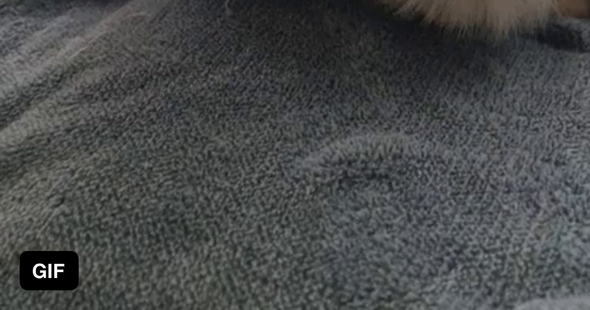 The wiggle butt in action! - 9GAG