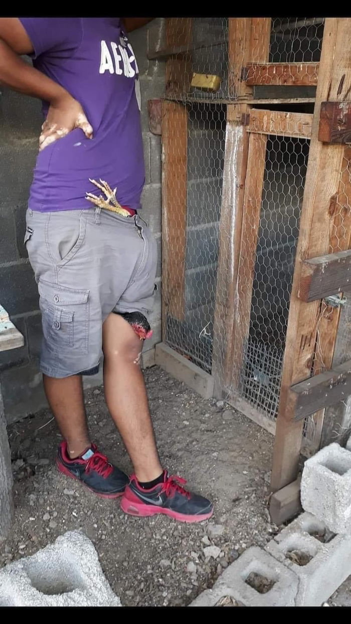Cock So Big The Head Popping Out Of My Pant 9gag