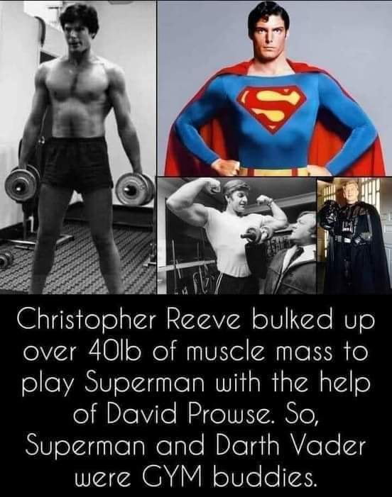 Unlikely companions - 9GAG