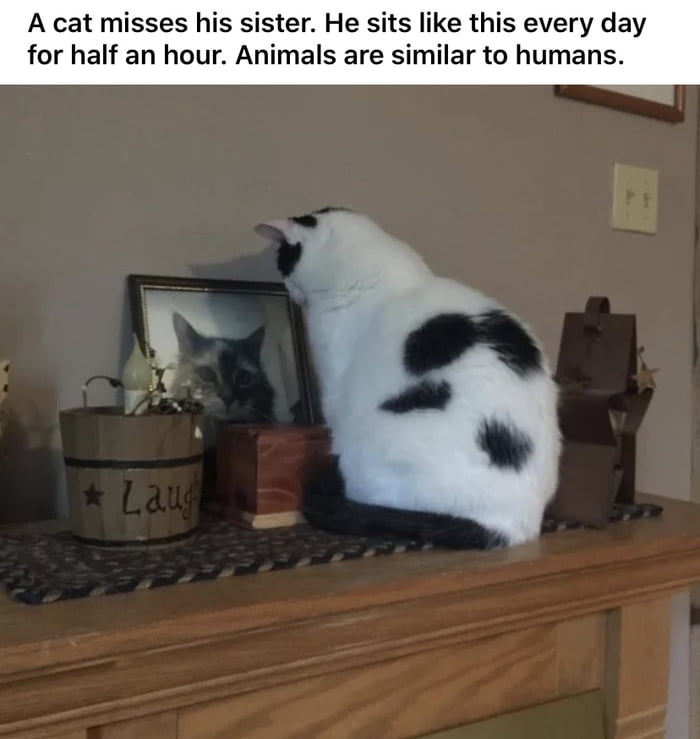 Mah hart, mah sole - 9GAG