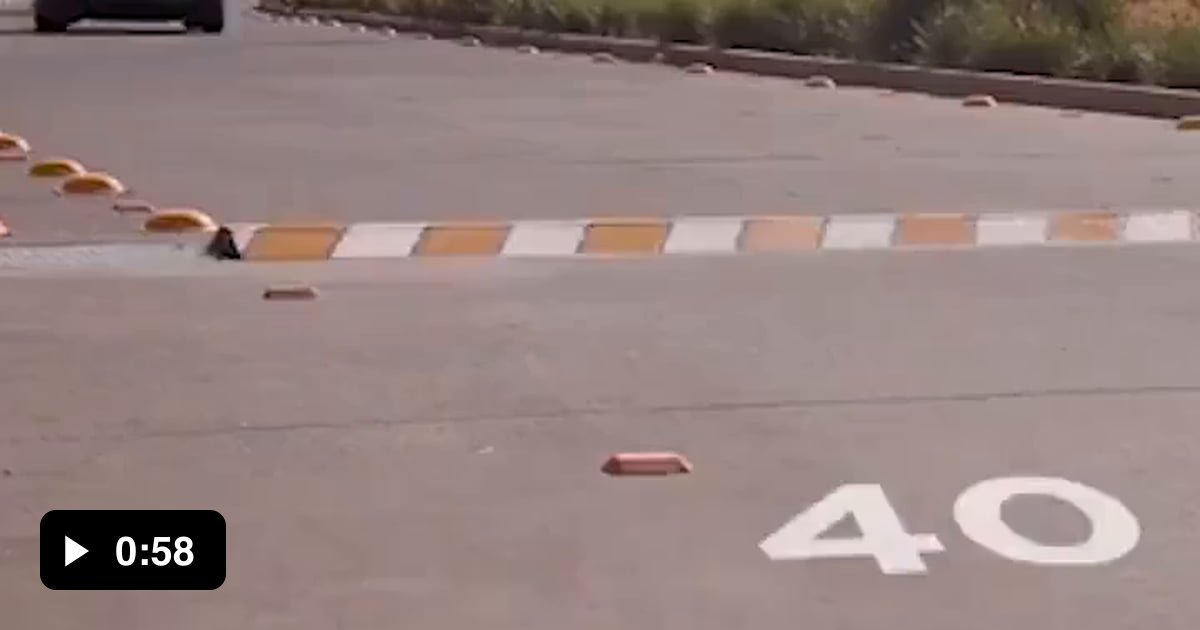 Smart speed bump flattens to reward good driving. - 9GAG