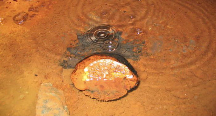 This looks like a normal puddle of water, right? Wrong. This puddle of ...