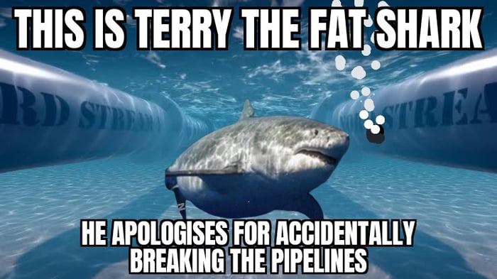 He was just trying to find nemo - 9GAG