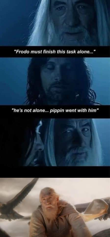 Fly to that fool - 9GAG