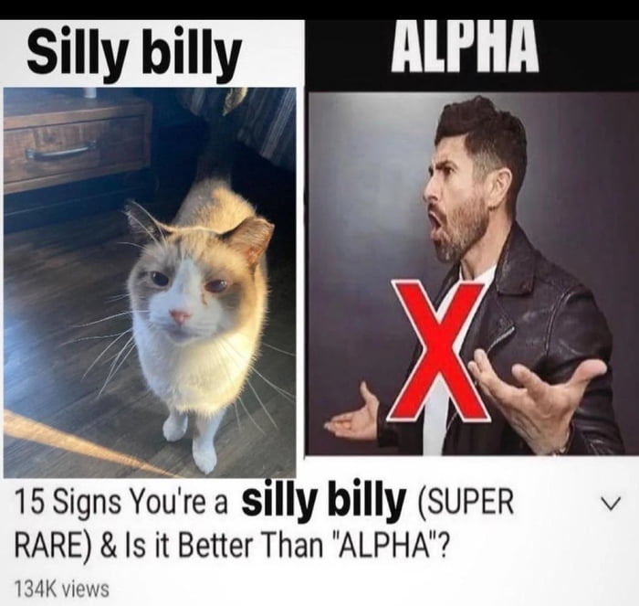 Silly Billy vs Alpha Thing - 9GAG