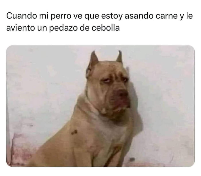 No mamar, pinche humano - 9GAG