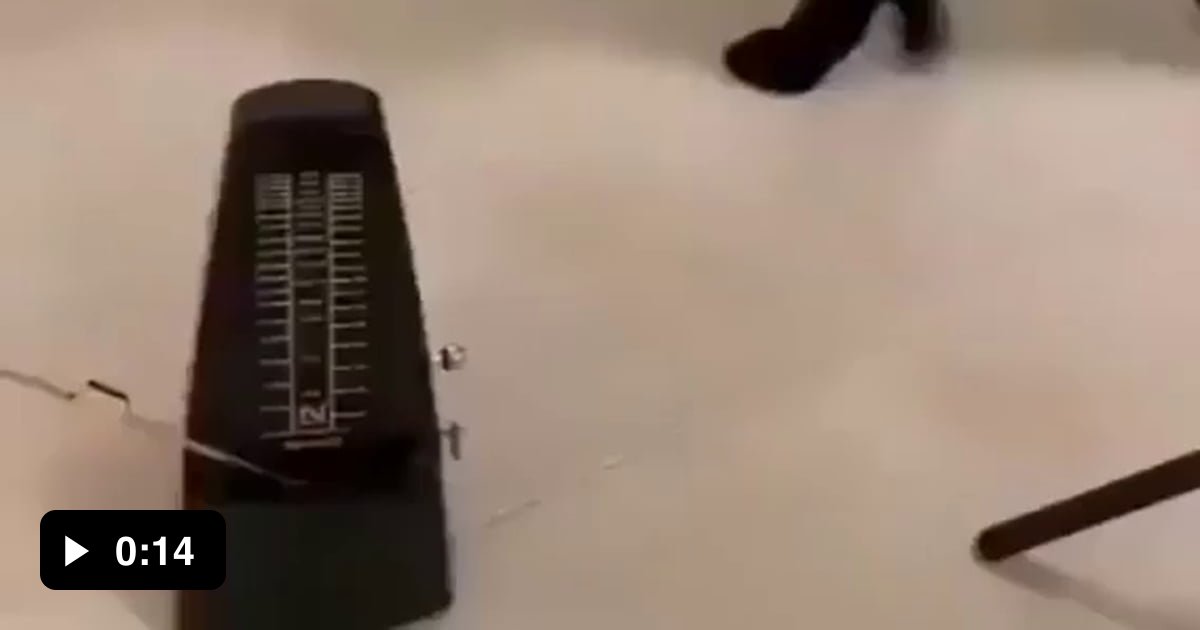 This cat's got the rhythm - 9GAG