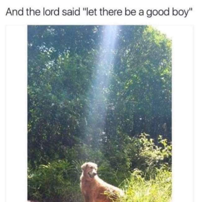Good and handsome boi - 9GAG