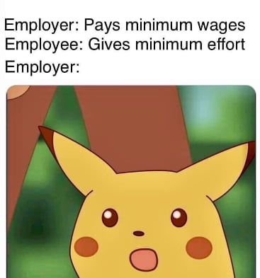 Minimum Wage=Minimum Effort - 9GAG