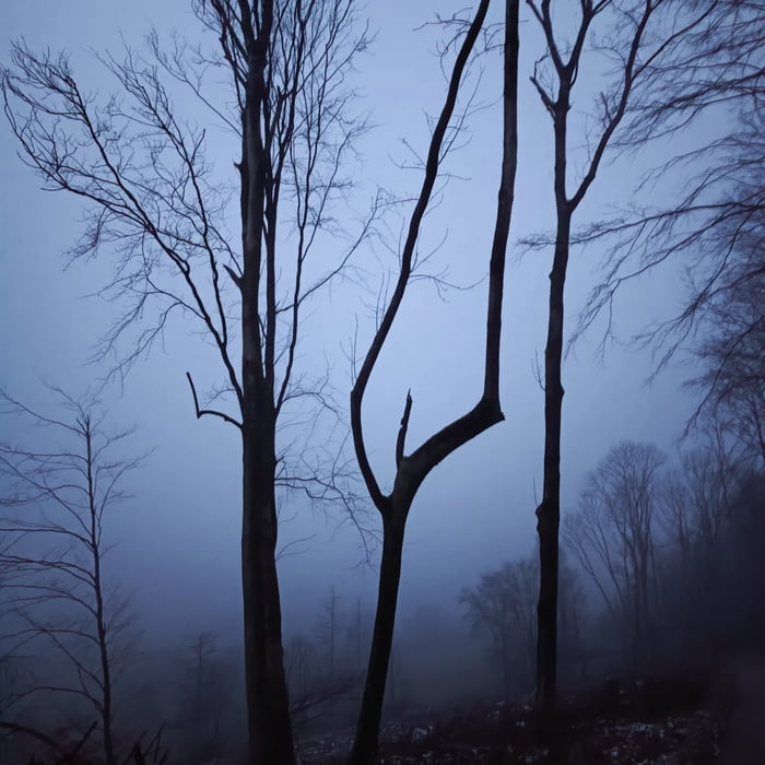 Made a walk into darkness. 10km. Feeling better now. - 9GAG