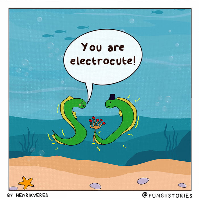 Chivalry is not dead among eels - 9GAG