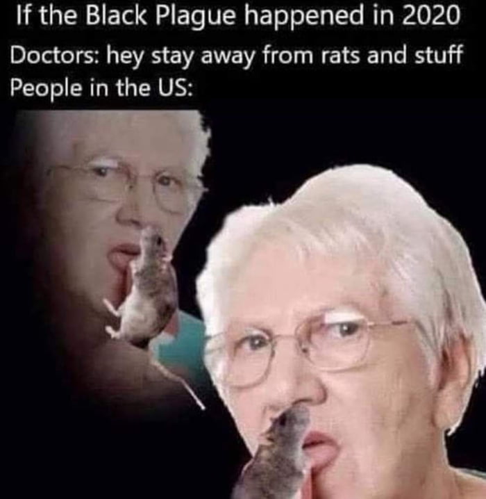 Don't lick the rat - 9GAG