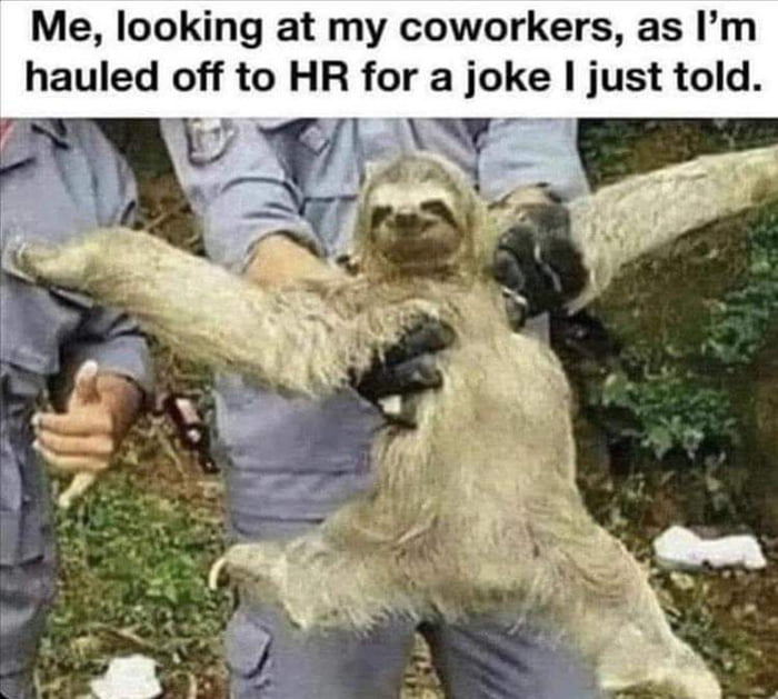 See you later alligator - 9GAG