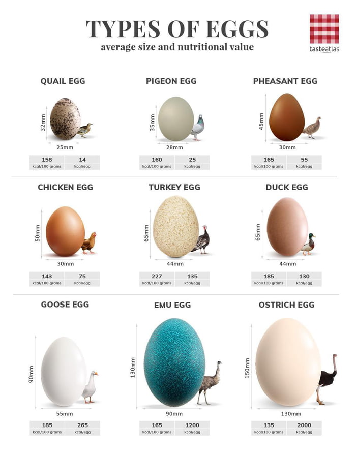 Types of eggs - 9GAG