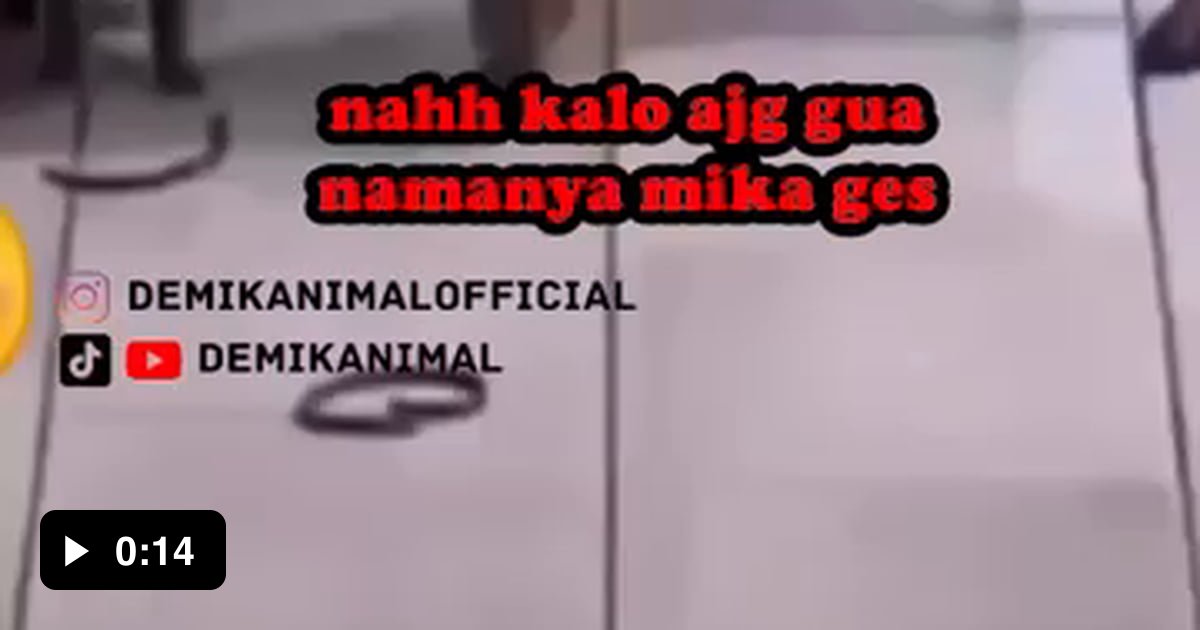 Kujing & ancing - 9GAG