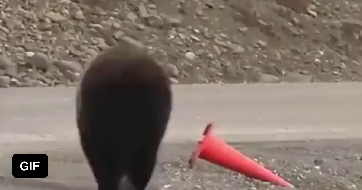 There must be order - 9GAG