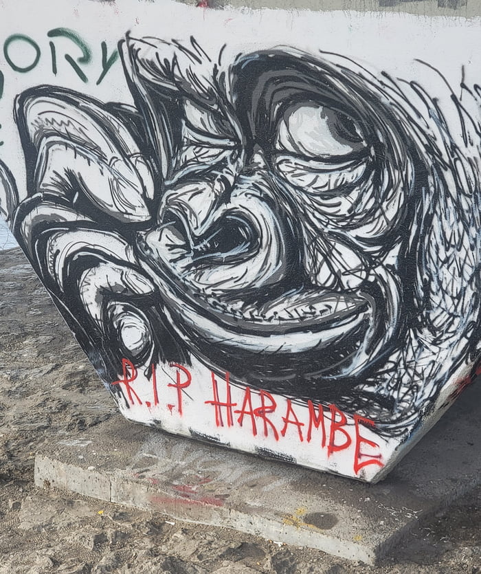 Spotted in Vienna. RIP Harambe - 9GAG