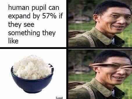 That's lacist - 9GAG