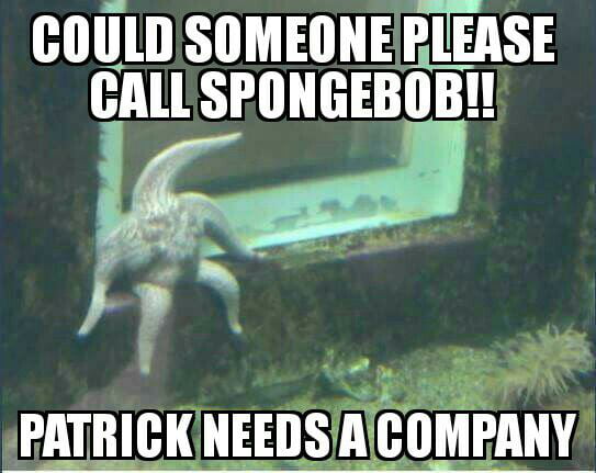 Poor Patrick!! - 9GAG