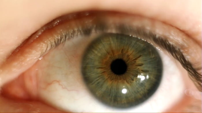 Amazing gif showing eye movement and iris wiggling at 700fps! - 9GAG