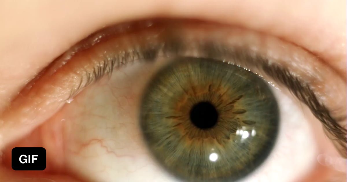 Amazing gif showing eye movement and iris wiggling at 700fps! - 9GAG